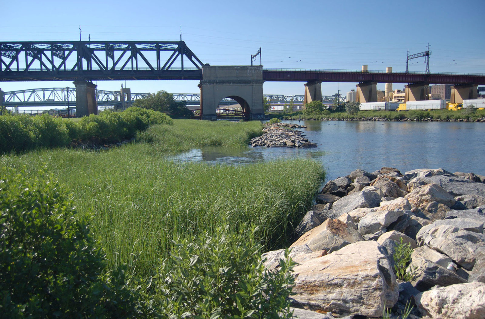 Randall’s Island Salt Marsh - RGR Landscape