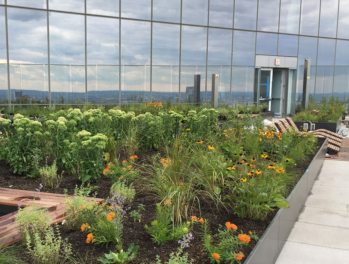 4 World Trade Center Terrace - RGR Landscape