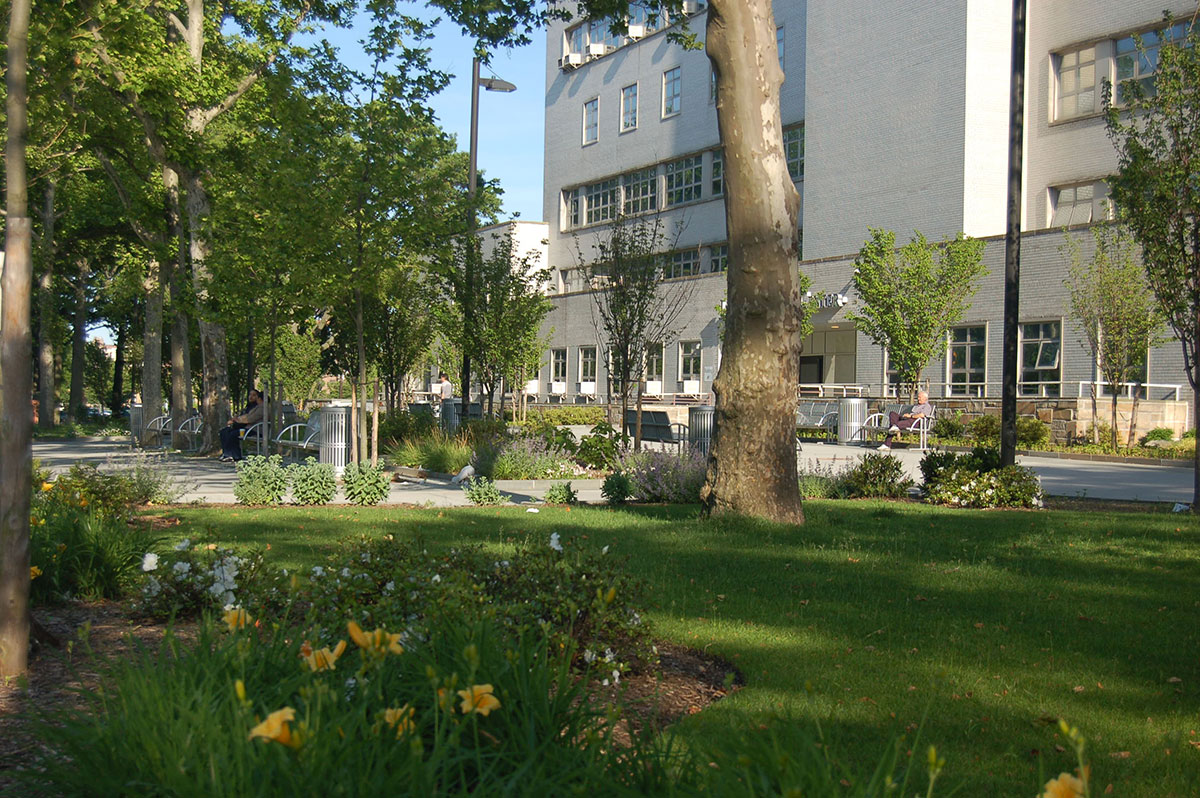 Jacobi Medical Center - RGR Landscape