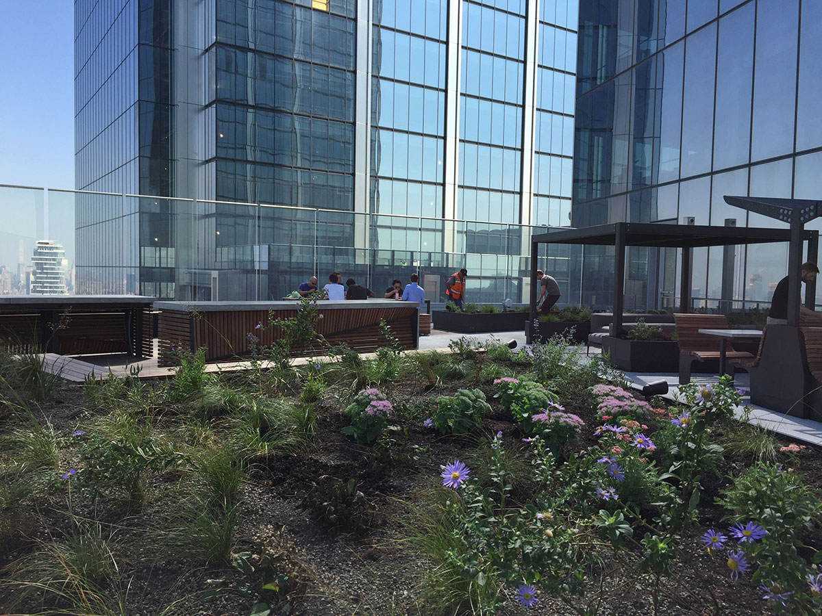4 World Trade Center Terrace - RGR Landscape