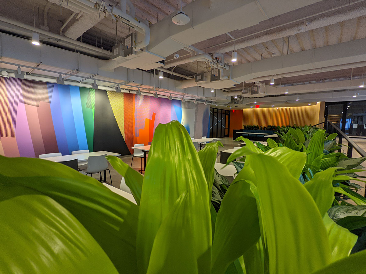 3 World Trade Center Terrace - RGR Landscape